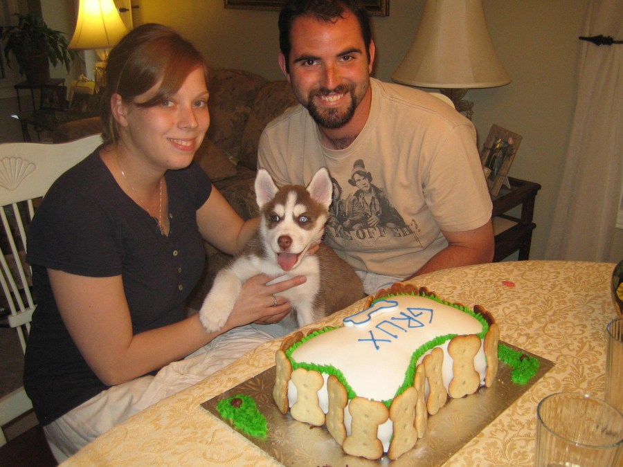 Dog Bone Cake - CakeCentral.com