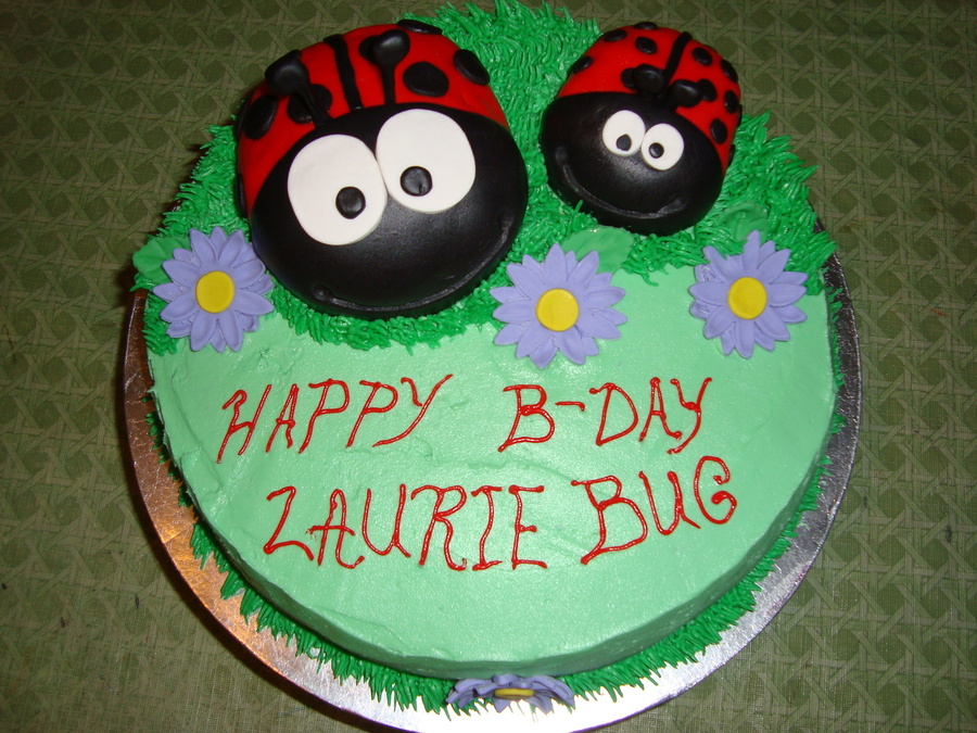 Ladybug Birthday Cake - CakeCentral.com