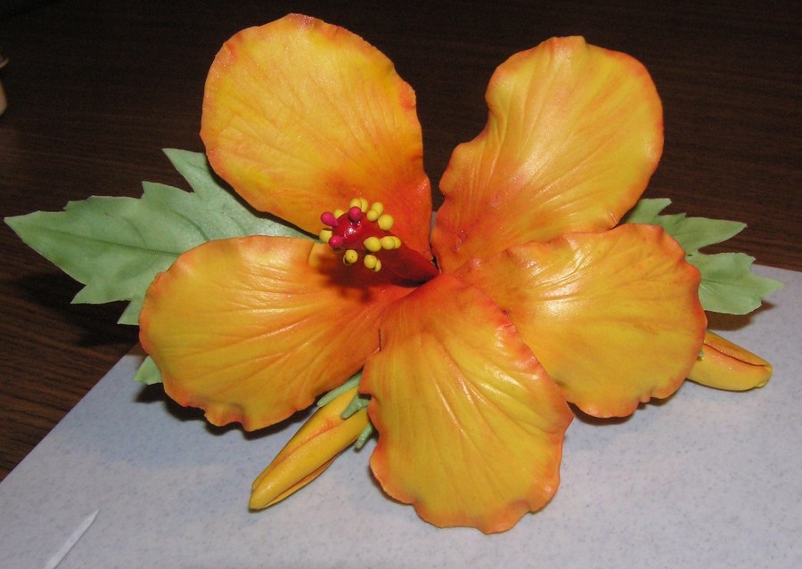 Hibiscus - CakeCentral.com