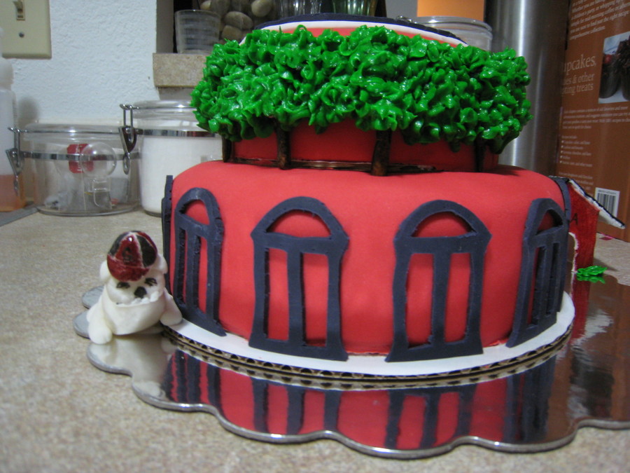 Georgia Birthday Cake - CakeCentral.com