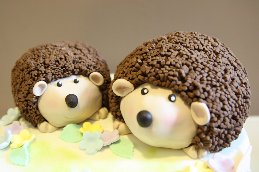 Hedgehog Cake - CakeCentral.com