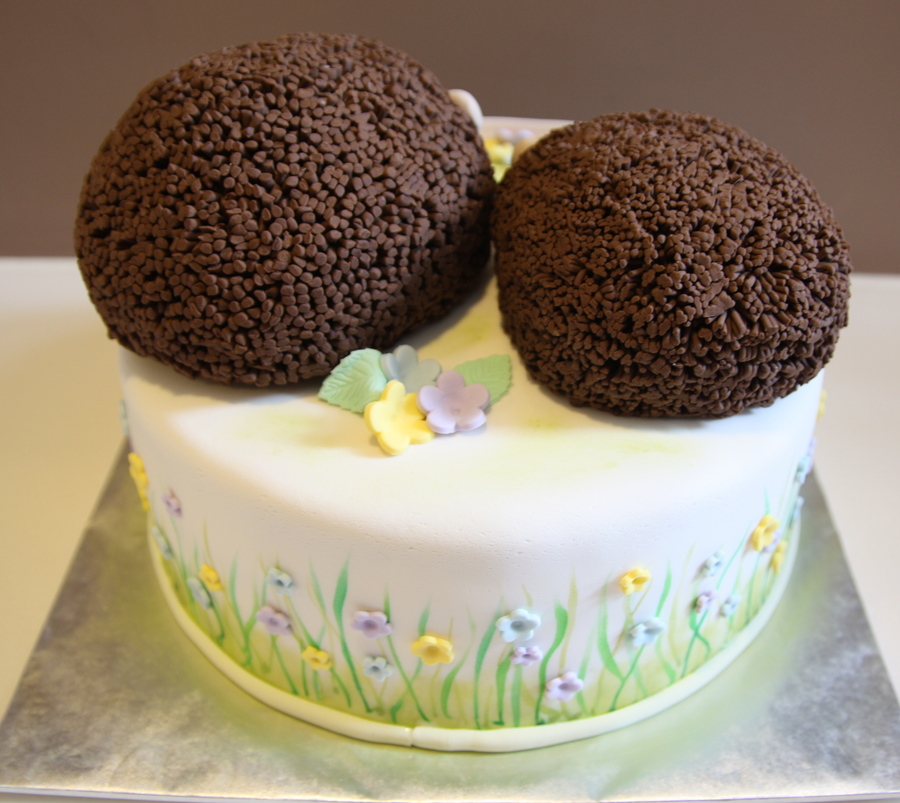 Hedgehog Cake - CakeCentral.com
