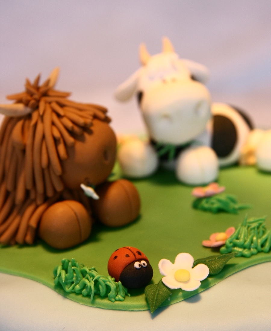Cow Cake - CakeCentral.com
