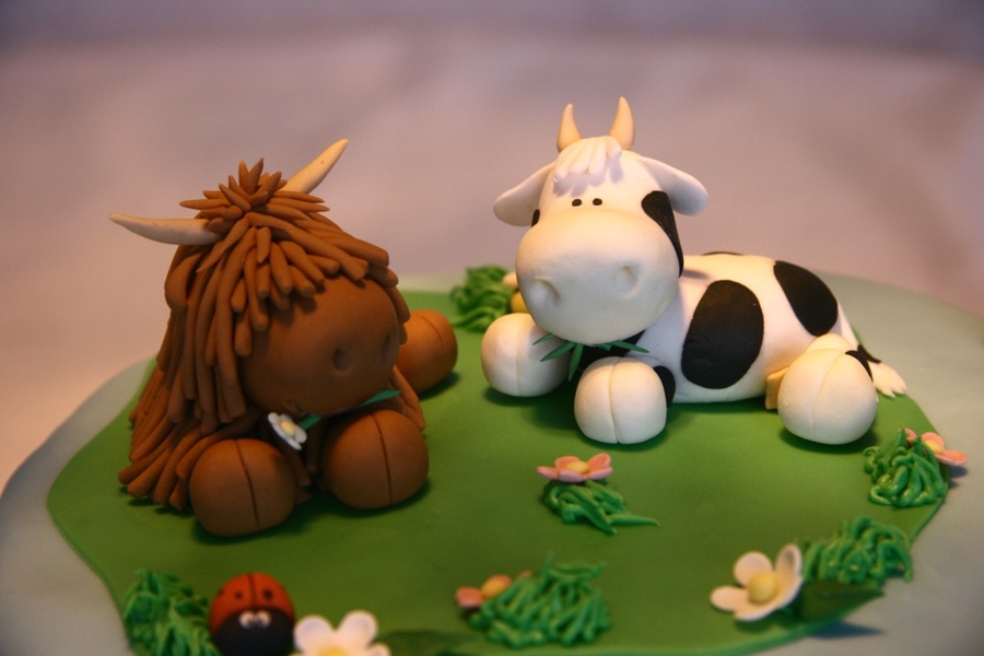 Cow Cake - CakeCentral.com