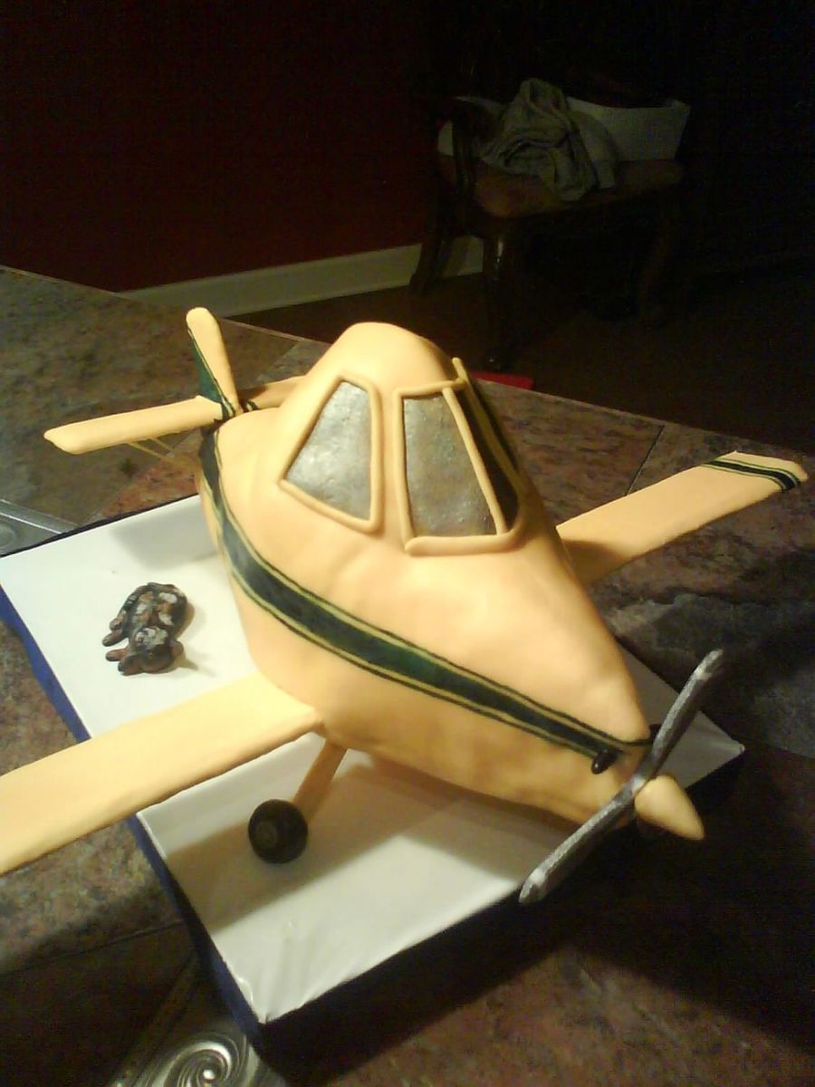 Crop Duster Cake - CakeCentral.com