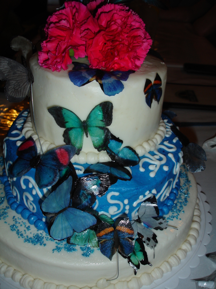 Butterfly Cake - CakeCentral.com