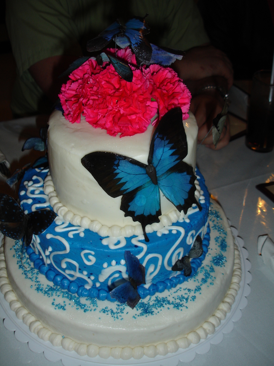 Butterfly Cake - CakeCentral.com