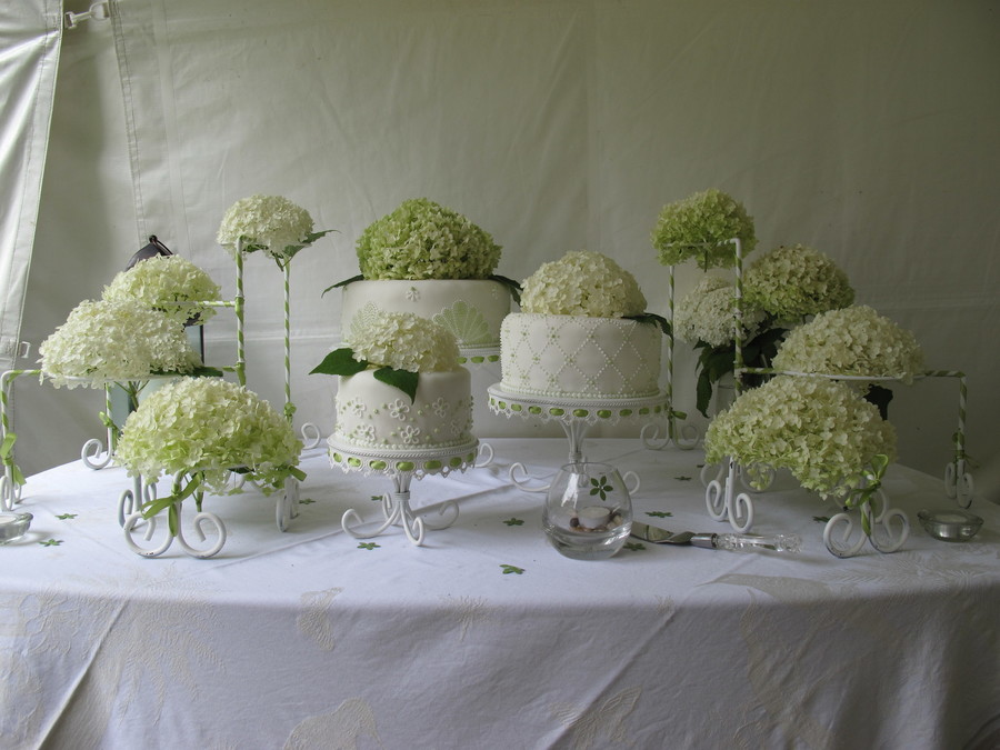 Hydrangea Bliss - CakeCentral.com