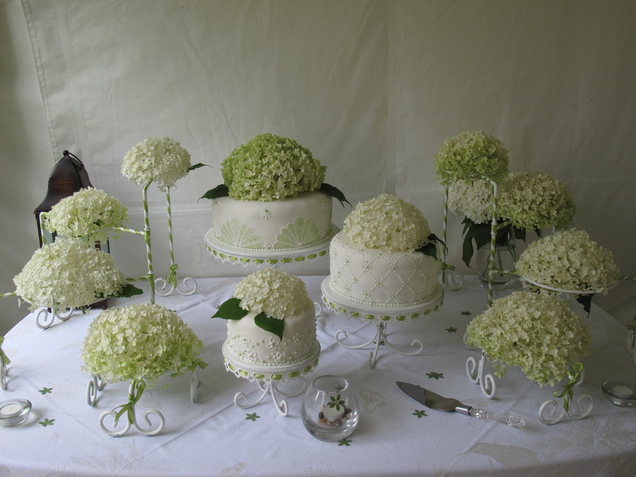 Hydrangea Bliss - CakeCentral.com