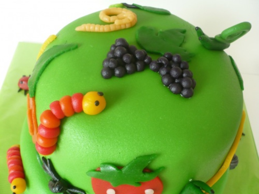 Colorful Organic Fruits And Insects - CakeCentral.com