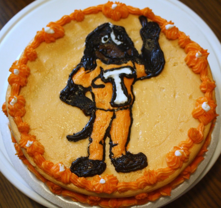 Tennessee Mascot Smokey - CakeCentral.com