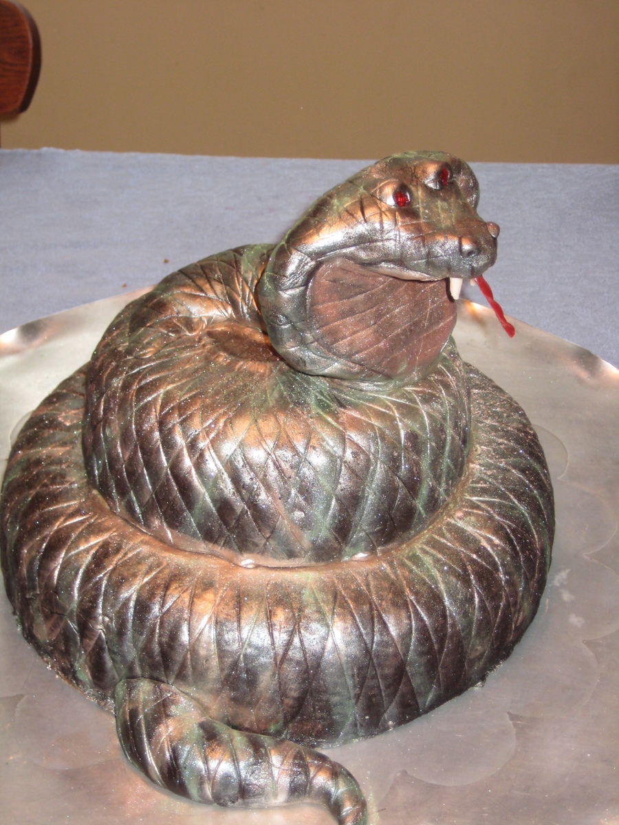 Awesome Cobra Cake - CakeCentral.com