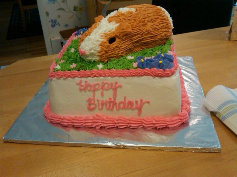 Guinea Pig Cake - CakeCentral.com