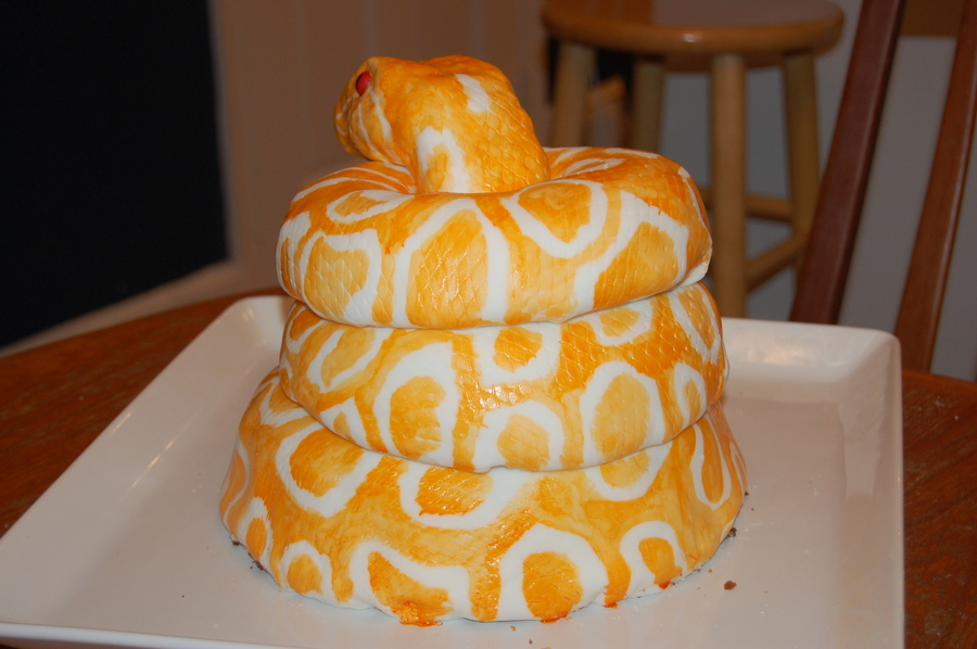 Albino Burmese Python Cake - CakeCentral.com