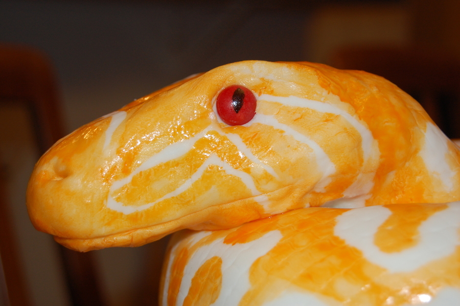 Albino Burmese Python Cake - CakeCentral.com