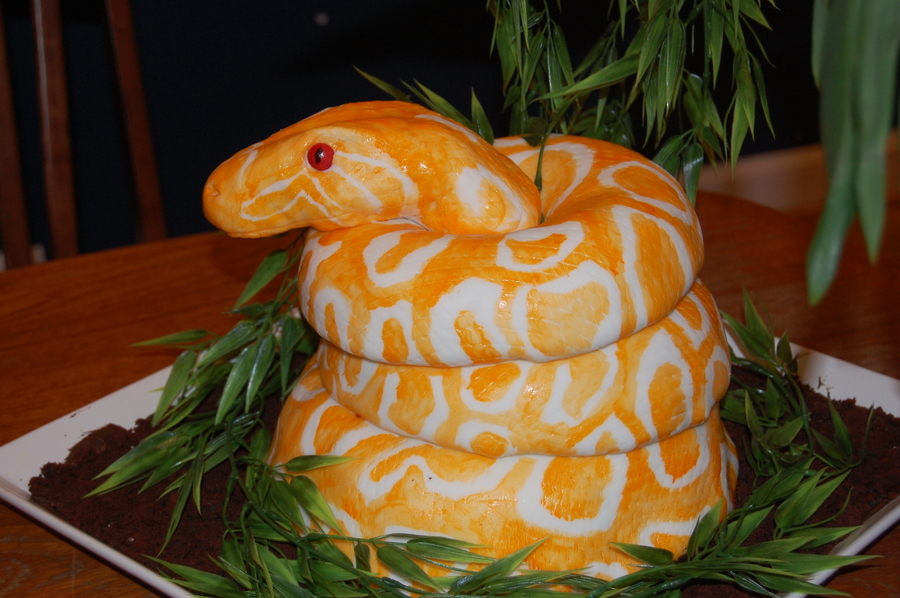 Albino Burmese Python Cake - CakeCentral.com