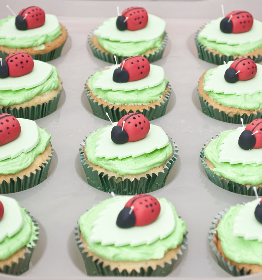 Ladybird Topper - CakeCentral.com
