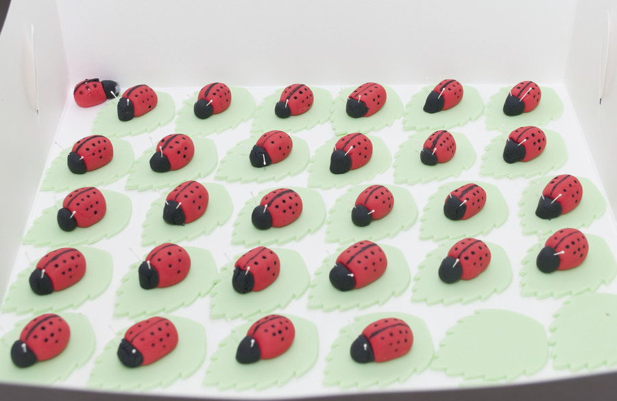 Ladybird Topper - CakeCentral.com