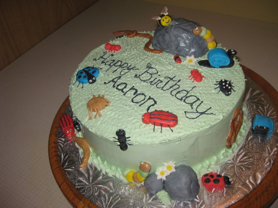 Bug Cake - CakeCentral.com