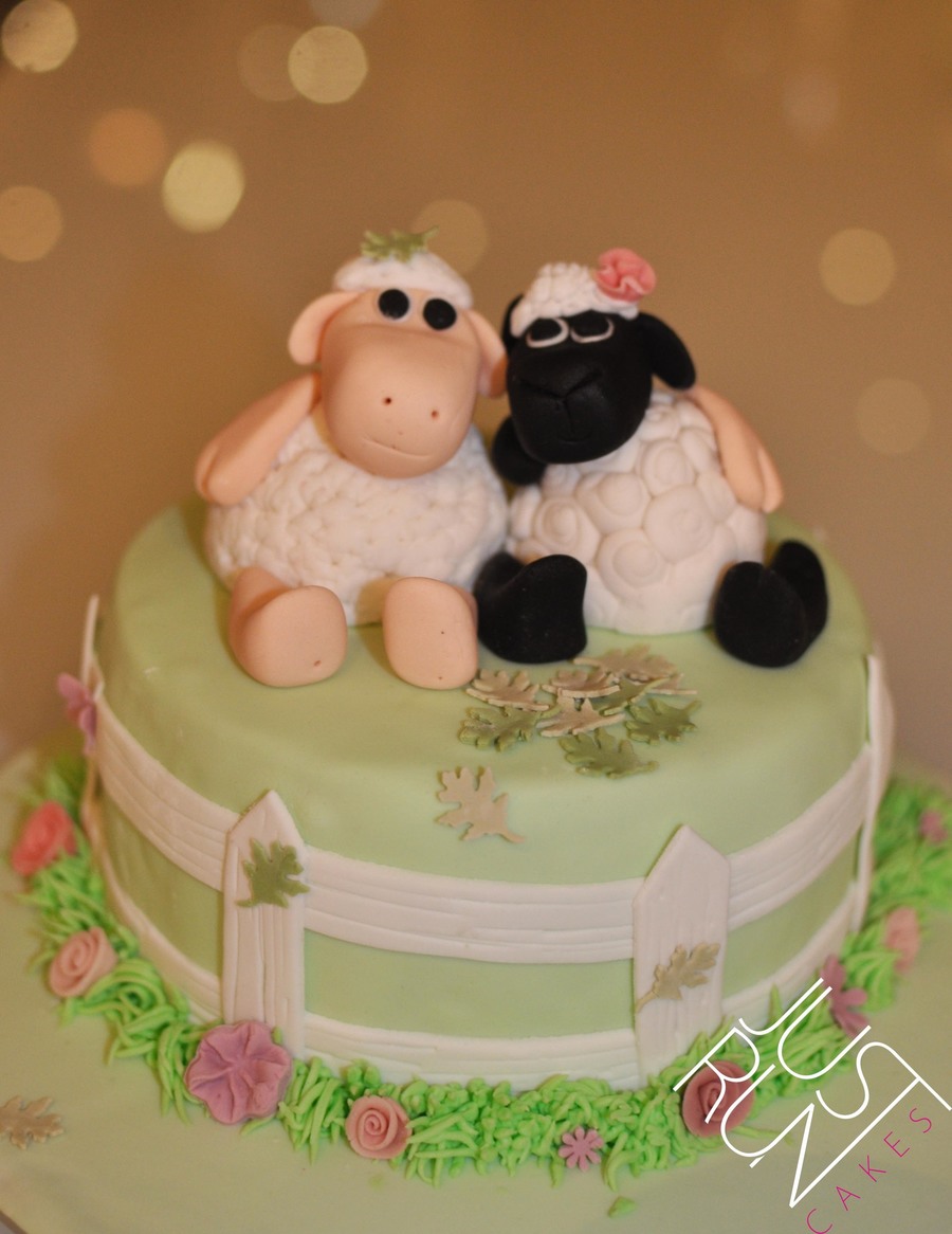 Sheep Cake - CakeCentral.com