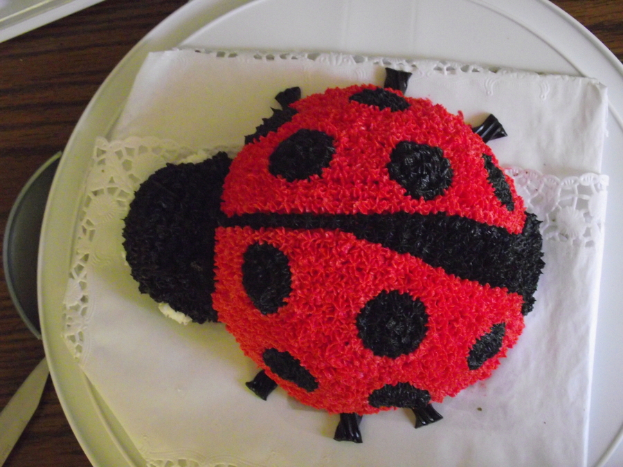 Ladybug Cake - CakeCentral.com