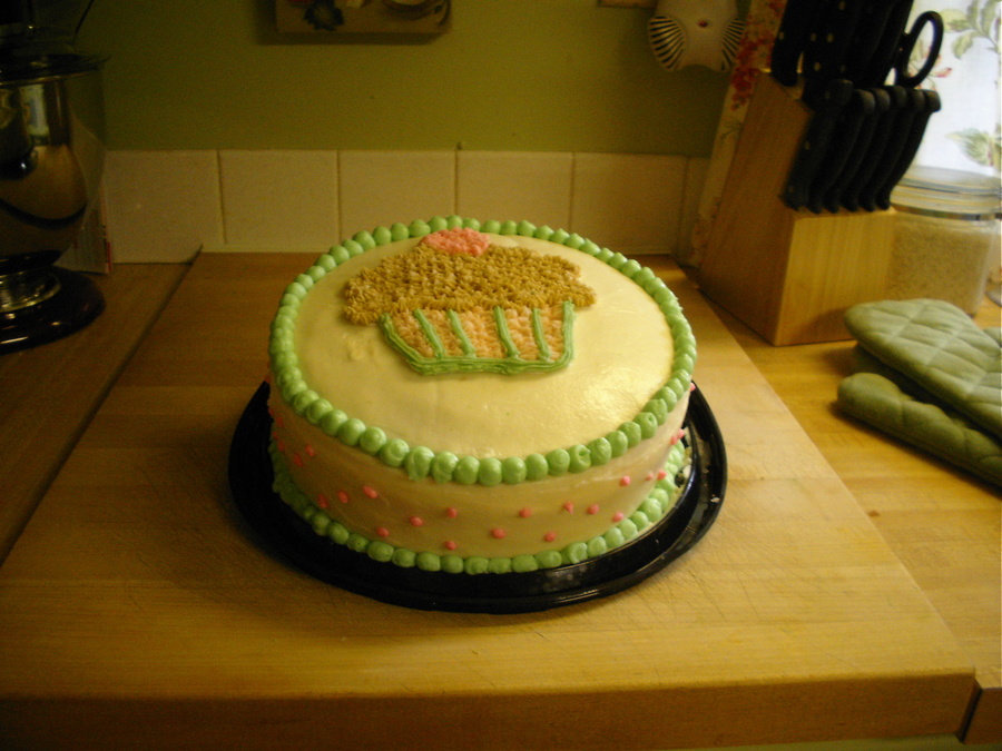 My First Wilton Class Cake - CakeCentral.com