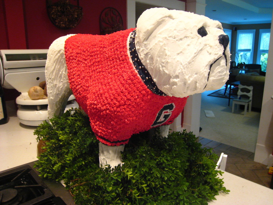 Uga Bulldog Cake - CakeCentral.com