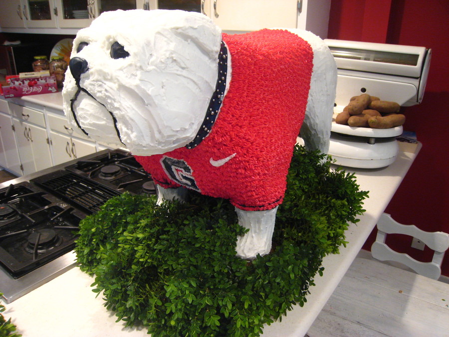 Uga Bulldog Cake - CakeCentral.com
