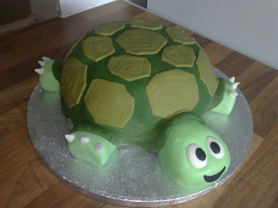Tortoise Cakes - CakeCentral.com