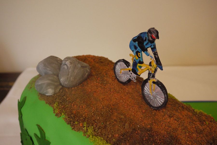 Mountain Bike Cake - CakeCentral.com