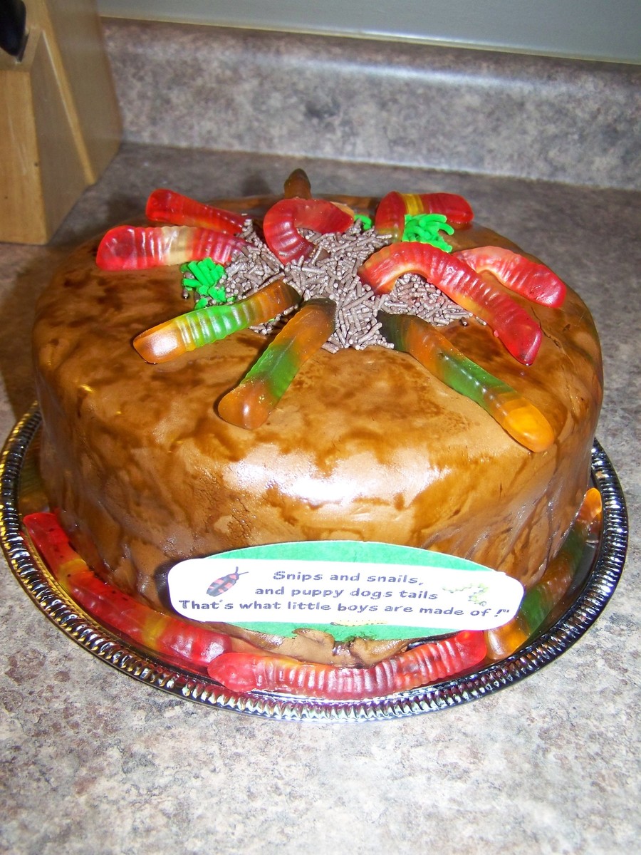 Cake For Fundraiser At My Kids School. - CakeCentral.com