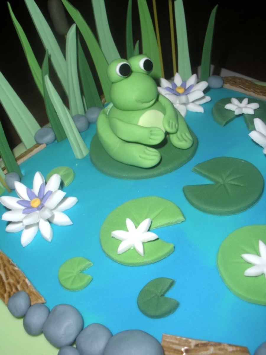 Frog Pond Birthday Cake - CakeCentral.com