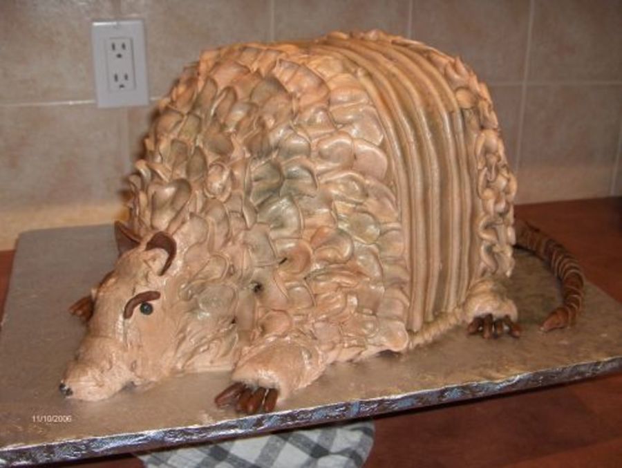3D Armadillo - CakeCentral.com