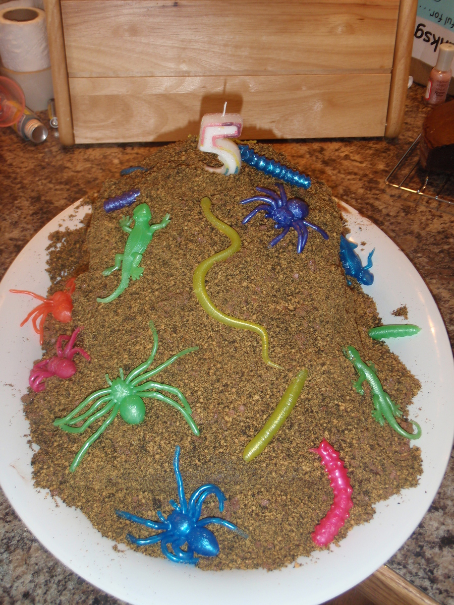 Bug Mountain - CakeCentral.com