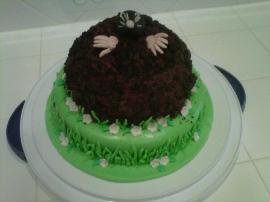 Mole Cake For National Mole Day Chemistry Class - CakeCentral.com