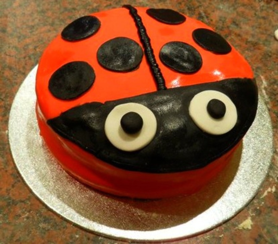 Ladybird Cake - CakeCentral.com