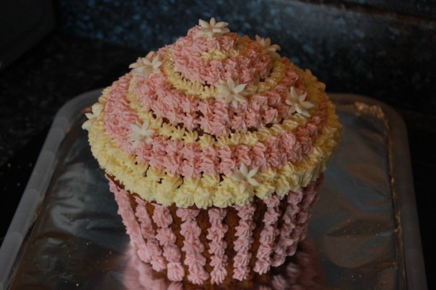 Giant Cupcake - CakeCentral.com