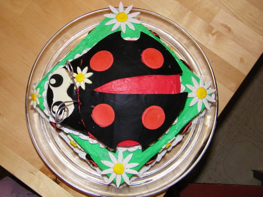 Lady Bug - CakeCentral.com