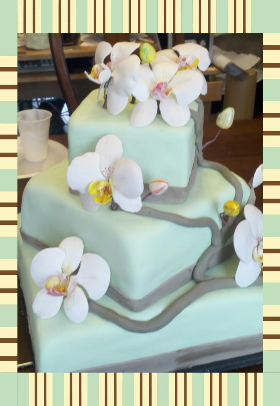Butterfly Orchids - CakeCentral.com