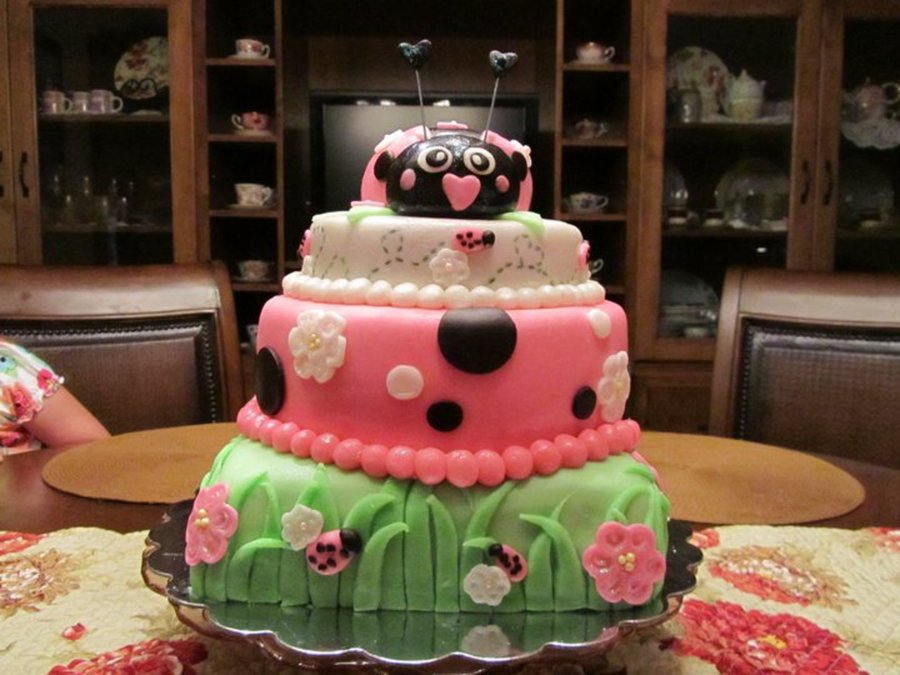 Pink Ladybug Cake - CakeCentral.com