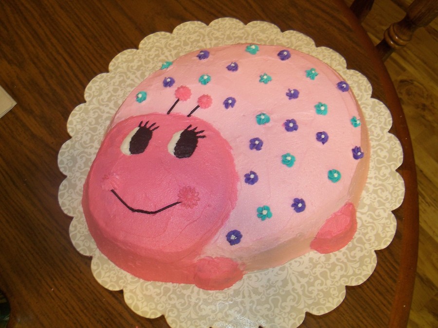 Ladybug Cake - CakeCentral.com