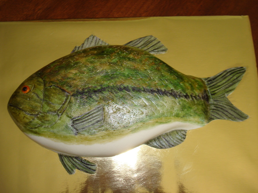 Large Mouth Bass Cake - CakeCentral.com