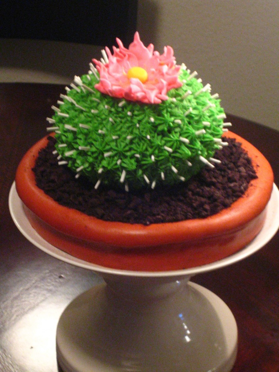 Cactus Cake - CakeCentral.com