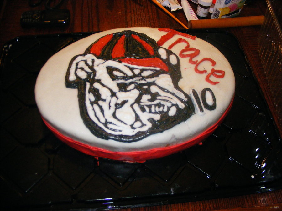 Georgia Bulldog Cake - CakeCentral.com