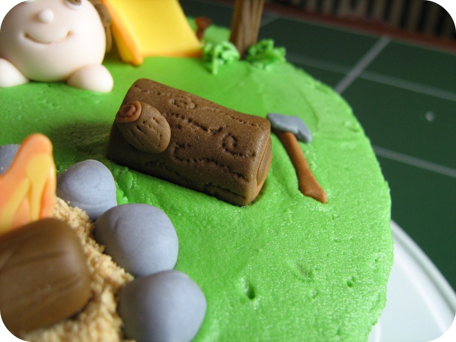 Cake For A Camp Out Themed Party - CakeCentral.com