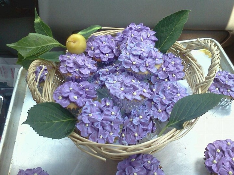 Hydrangea Cupcakes! - CakeCentral.com