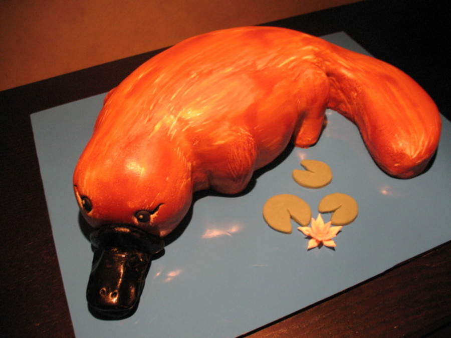 Platypus - CakeCentral.com