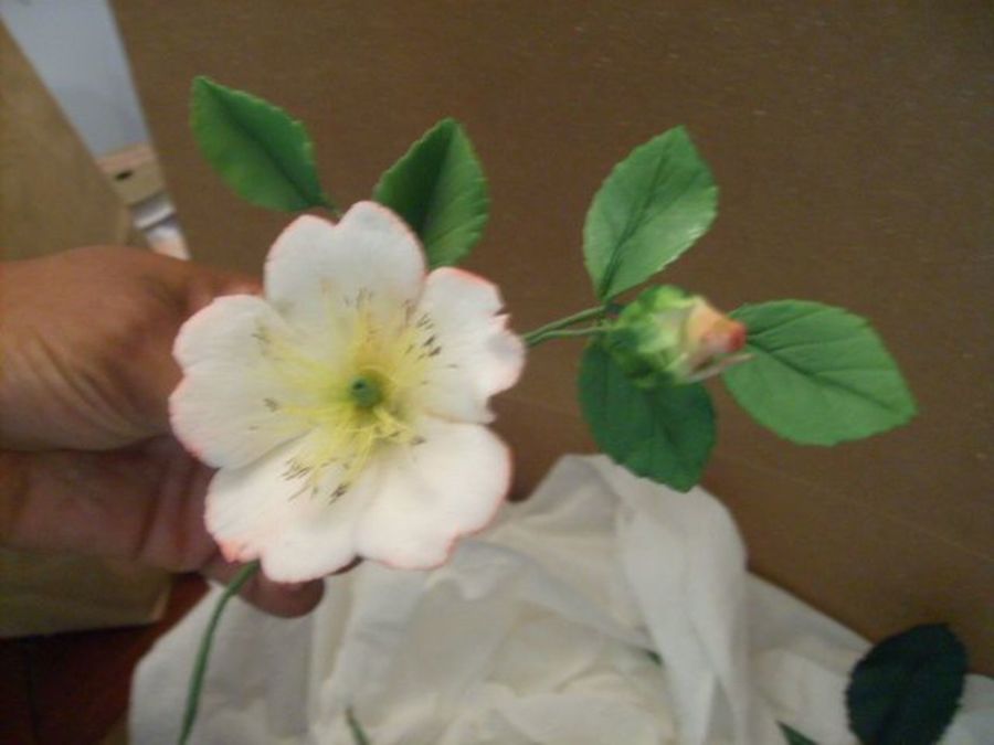 Cherokee Rose - CakeCentral.com