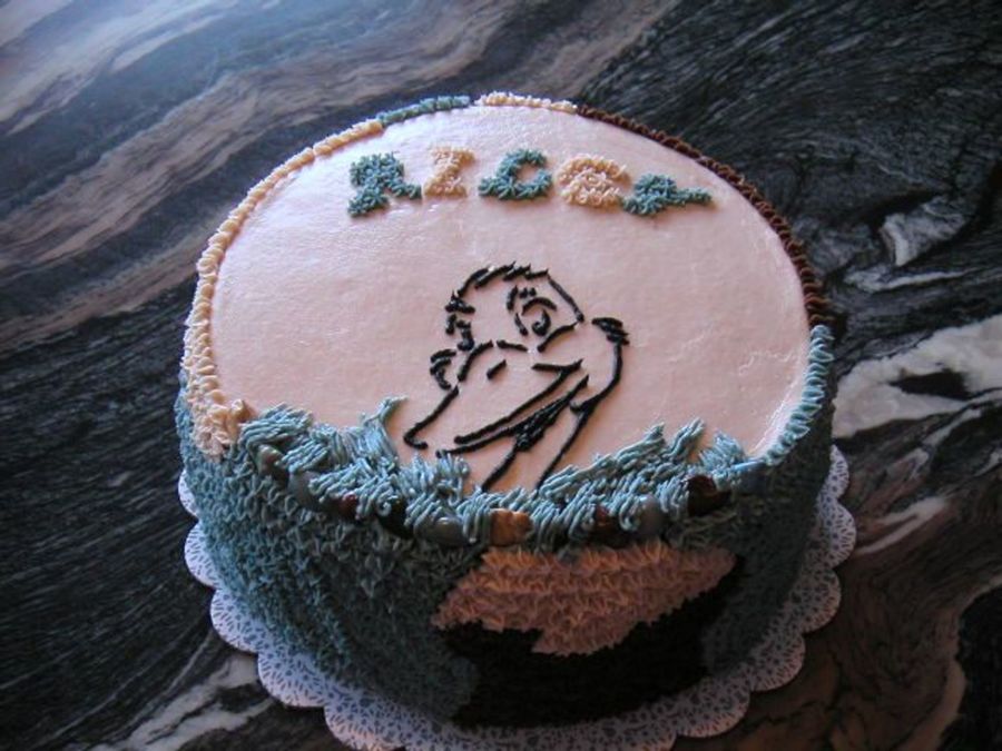 Duck Cake - CakeCentral.com