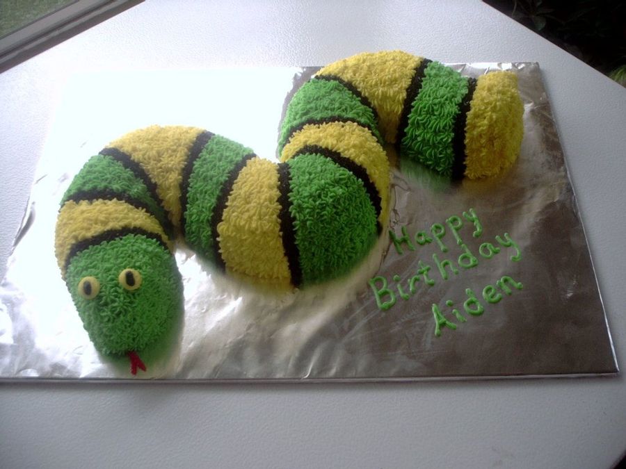 Snake Cake - CakeCentral.com